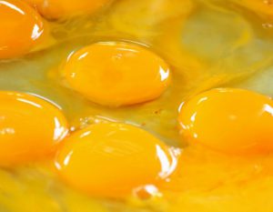 Daybreak Foods